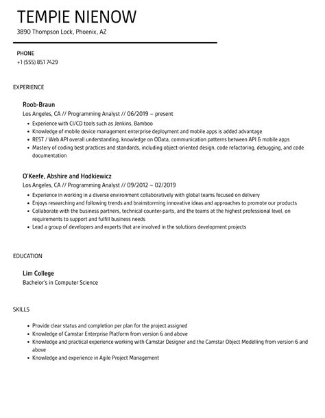 Programming Analyst Resume Samples Velvet Jobs