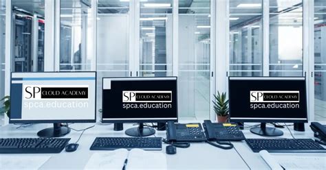 Domain Creation Process On Windows Server 20192022