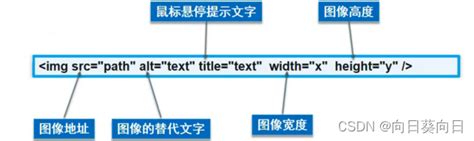 HTML简单概述及常用标签解析 html标签如何看 CSDN博客