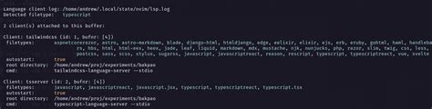 Nvim Lspconfig Neovim Starting Multiple Lsp Clients For Each Buffer