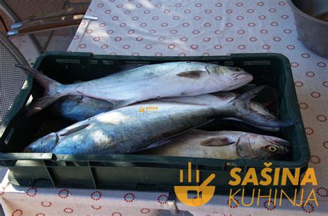 Sašina Kuhinja Riba Lica 3 Recepta Tava Gradele I Brudet Sašina Kuhinja