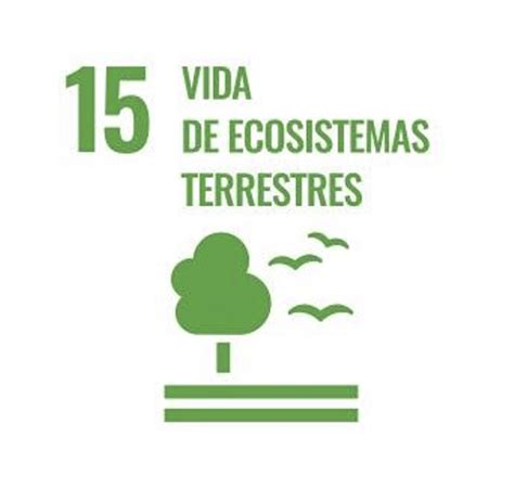 Recomendación Ods 15 Vida De Ecosistemas Terrestres Zero Risk 2030