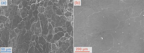 Scanning Electron Micrographs Of A Fine‐grained And B Coarse Grained Download Scientific