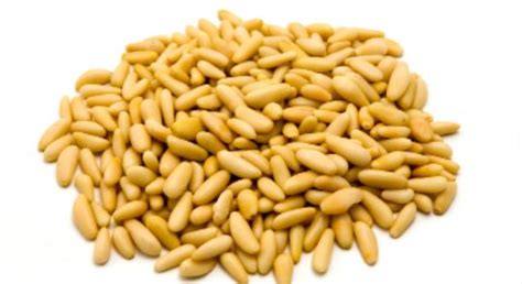 Organic Pine Nuts 100g Refillz