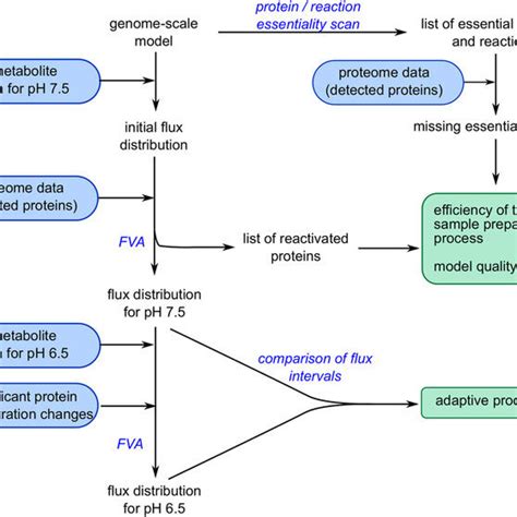 schematic overview of our data integration approach experimental parts download scientific