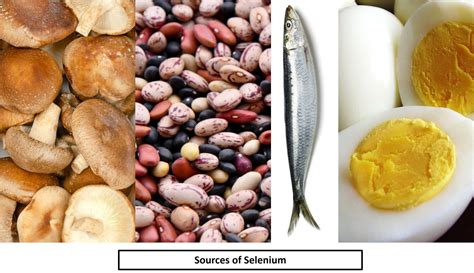 Benefits Of Selenium Enervite