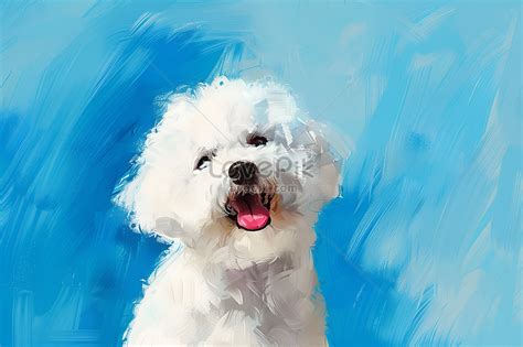 귀여운 흰색 비숑 프리제 일러스트 무료 다운로드 Lovepik