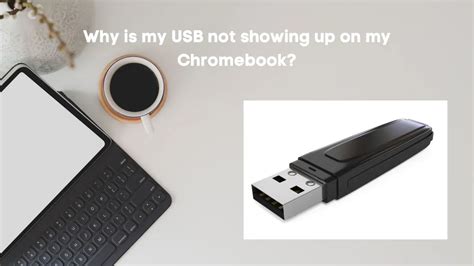 Why Is My Usb Not Showing Up On My Chromebook Fixed
