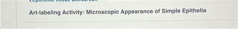 Solved Art Labeling Activity Microscopic Appearance Of