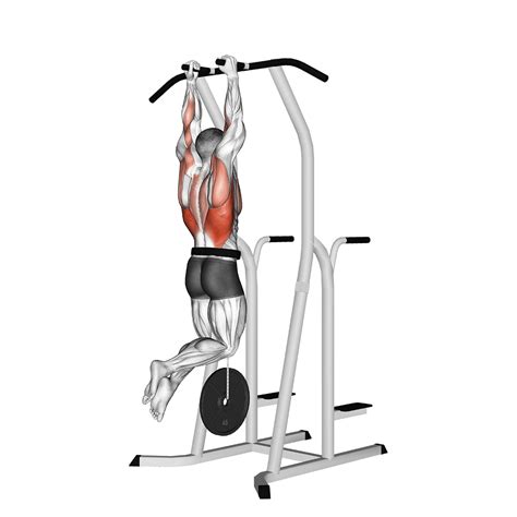 All Pull Up Workouts And Their Benefits Bezzad