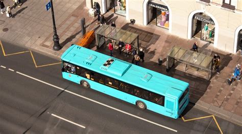 С 1 сентября в Ленобласти будут запущены три дополнительных автобусных