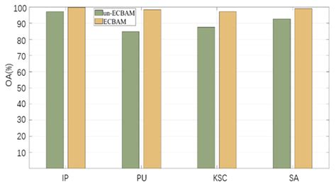 Remote Sensing Free Full Text Hyperspectral Image Classification Based On Two Branch