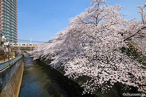 JR中央線 東中野駅の周辺情報 中央線JP