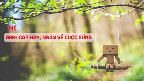 Cap Hay Ngh A Stt T M Tr Ng D Ng Ng Nh Story Tri U View Nguy N Kim Nguy N Kim Blog