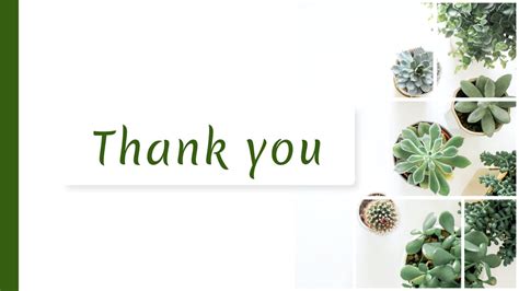 Nature Google Slides Themes Template Thank You Slide SlideKit