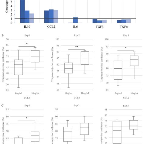 Real Time Reverse Transcriptionpolymerase Chain Reaction Analysis Of Download Scientific