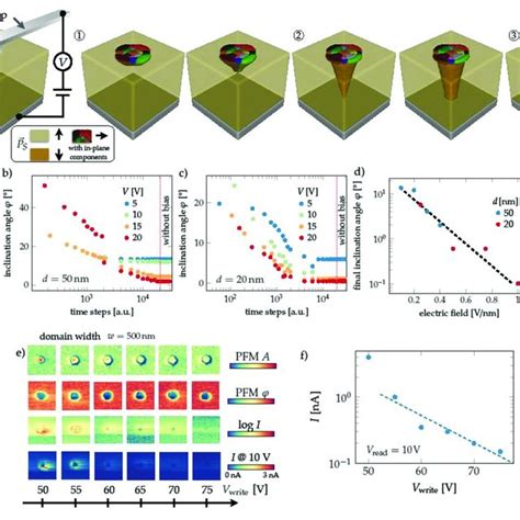 A Three Dimensional Phase Field Simulation Of Cdw Formation Under An