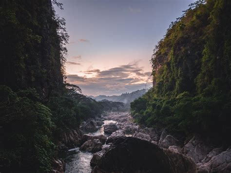 Best Philippines Porn Orgy Angels Legraybeiruthotel