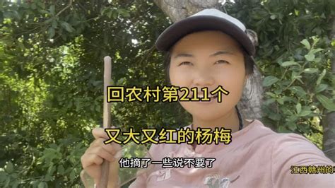 今年的杨梅1块钱都没人要，又大又红吃起来好过瘾，用来晒杨梅干 Youtube