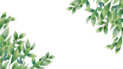 Eucalyptus Watercolor Border Simple Eucalyptus Watercolor Frame Png