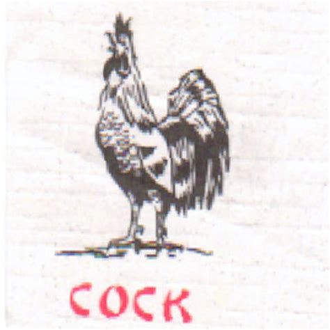Cock Cock
