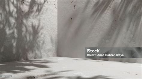 햇빛 광선과 나무 나뭇잎 그림자 콘크리트 바닥과 벽으로 만든 방 빈 석고 벽 햇빛과 그림자가 있는 콘크리트 무대 디자인을 위한