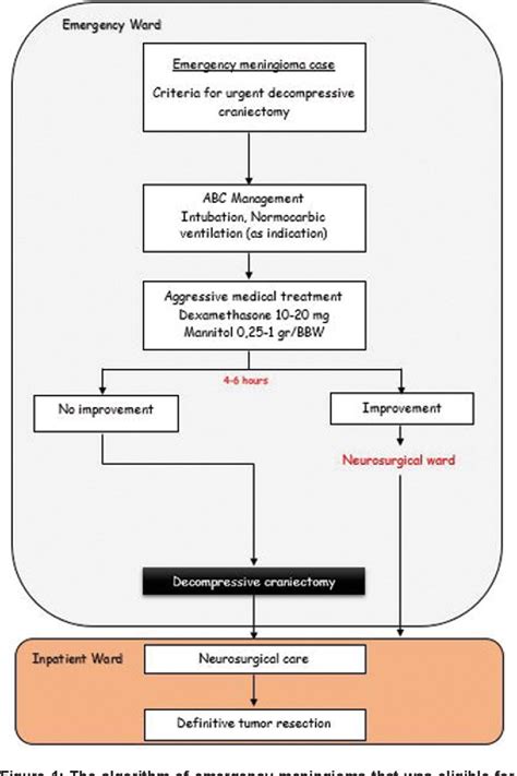 Figure 3 From Lifesaving Decompressive Craniectomy For High Intracranial Pressure Attributed To