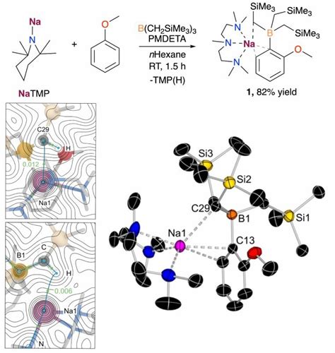 Deprotonative Borylation Of Anisole Carried Out In This Work Bottom Download Scientific
