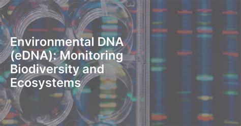 Environmental Dna Edna Monitoring Biodiversity And Ecosystems