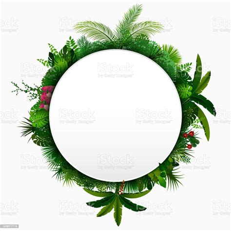 열 대 잎 배경입니다 둥근 열 대 배너 텍스트 위한 공간입니다 흰색 바탕에 절연 열 대 경 엽 0명에 대한 스톡 벡터 아트 및 기타 이미지 Istock
