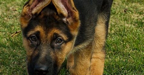 Sorting Out My Legs Imgur