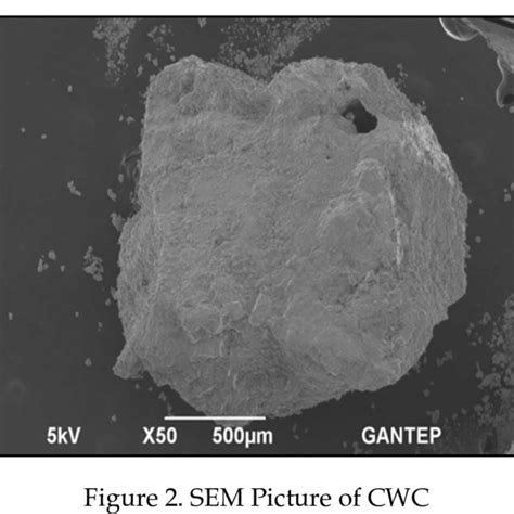 SEM Picture Of Organic Soil Download Scientific Diagram