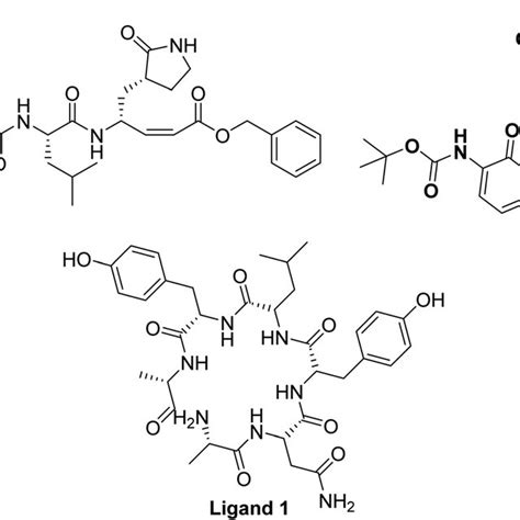 Chemical Structure Of Ligands N3 And A Ketoamide For Sars Cov 2 M Pro