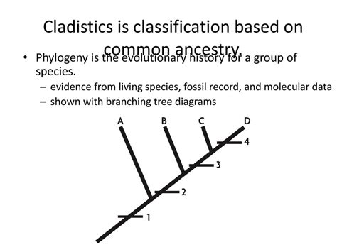 Taxonology Chapter 17 Biology Ppt Download