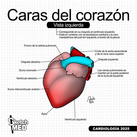 Sketch Med Sketch Med Added A New Photo