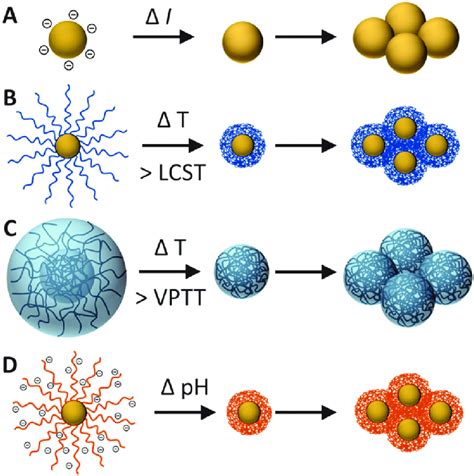 Illustration Of Various Responsive Np Aggregation Processes A Ionic Download Scientific