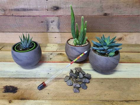 SG Hydrometer Cactus Craft