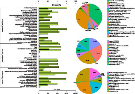 Histogram Presentation Of Gene Ontology Classifications The Results Download Scientific
