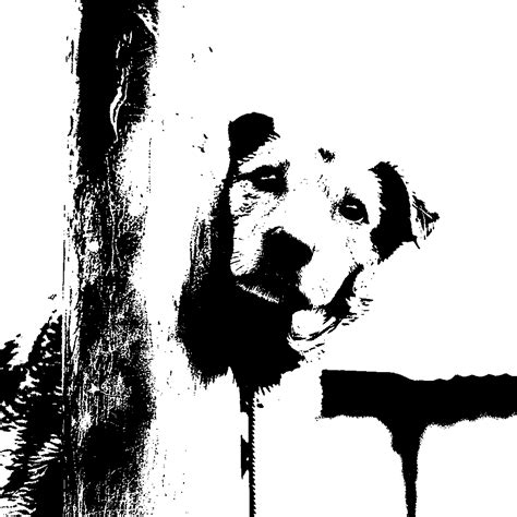 Çekirdek İçi Naylon Fatura