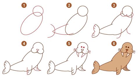 Instrucciones Para Dibujar Una Linda Morsa Seguir Paso A Paso Hoja De