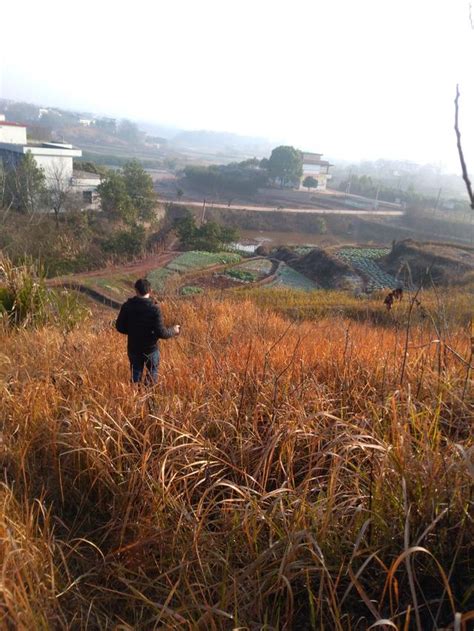 喜歡家鄉的山水鄉情 每日頭條