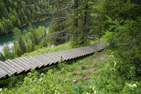 구불구불 한 길 은 그윽 한 녹색 삼림 으로 통한다 배경 구불구불한 길 오솔길 숲 배경 일러스트 및 사진 무료 다운로드 Pngtree