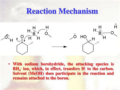 Ppt Chapter 26 Borohydride Reduction Of 2 Methylcyclohexanone Powerpoint Presentation Id 5166206