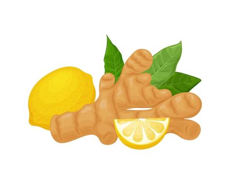 Premium Vector Ginger Vector Image Of Ginger With Lemon And Leaves Medicinal Plant In Cartoon
