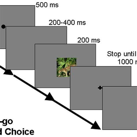Performance Of Go Nogo And Forced Choice Task In Experiment 2 Download Table