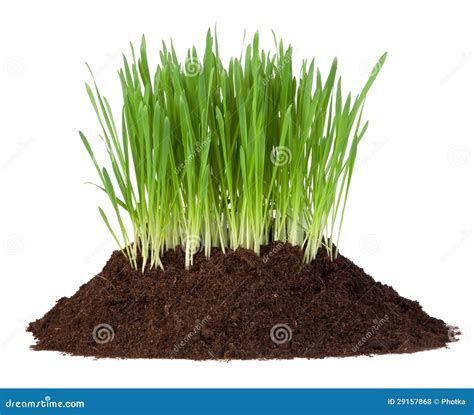 Grass Growing From Computer Keyboard Metaphor Stock Image