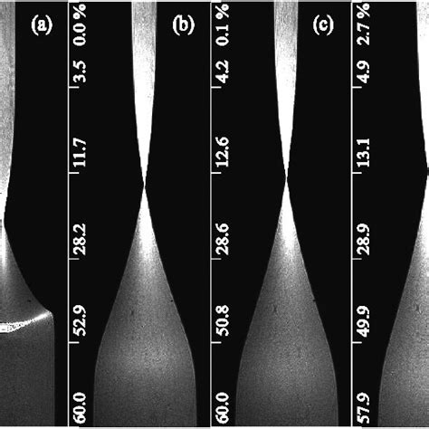 Typical Experimental Diffusion Images At Different Moments A T 0