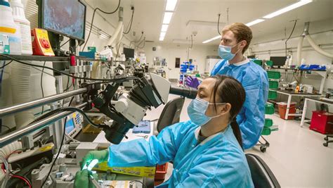 How Scientists Are Using Aws Ai And Ml To Map The Whole Human Brain