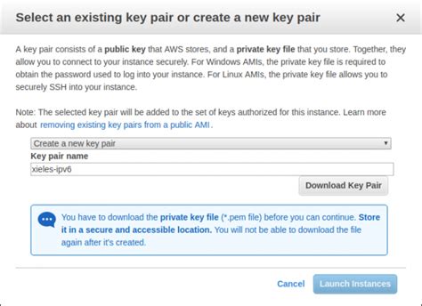 Setup Amazon Aws Ec2 With Ipv6 Address Xieles Support