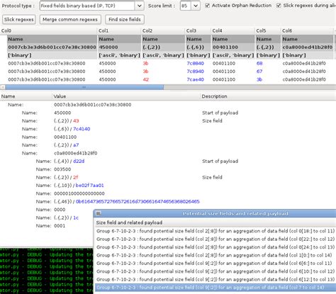 Netzob Network Protocol Reverse Engineering Tool ~ Vogh Voice Of Greyhat Leading Resource Of